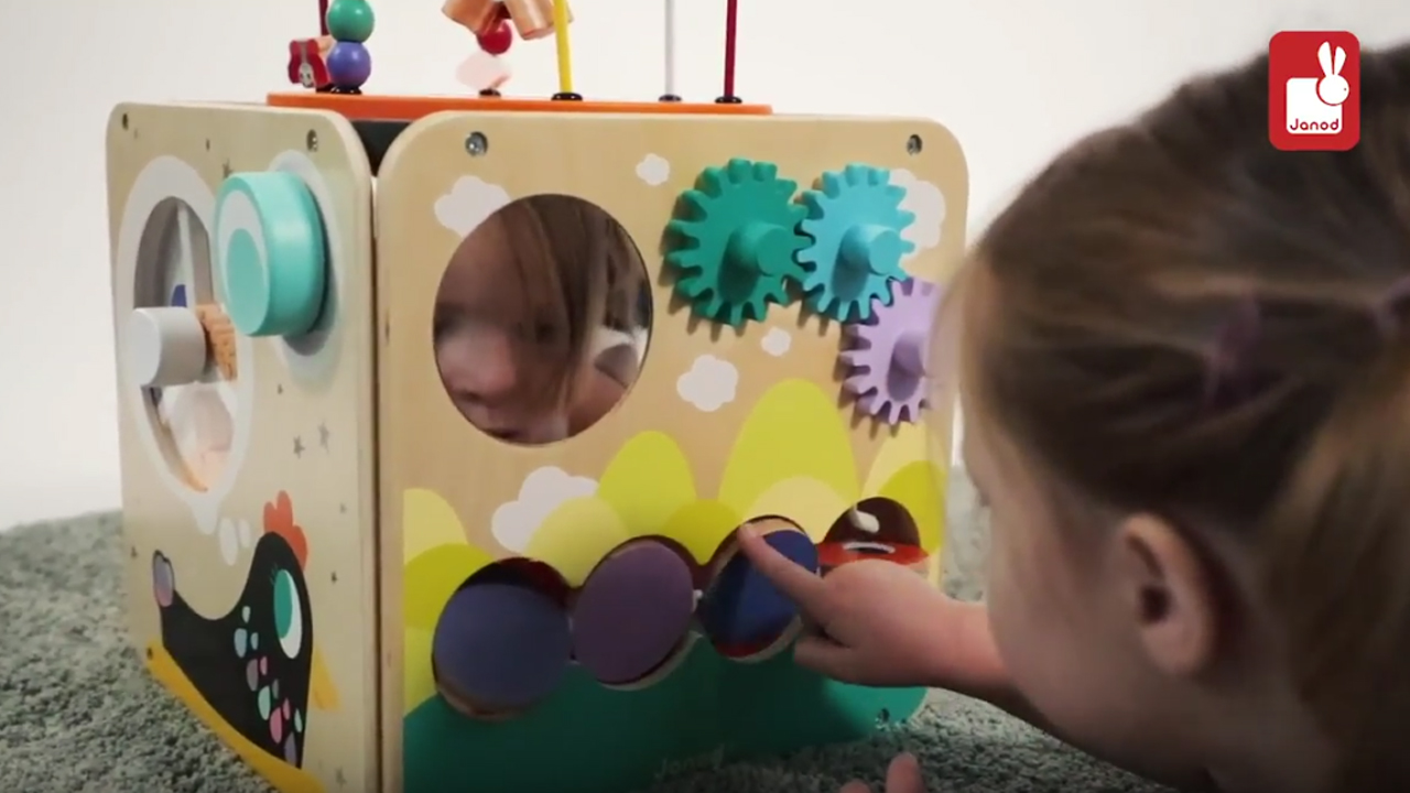 Multi-Activity Looping Toy - Janod